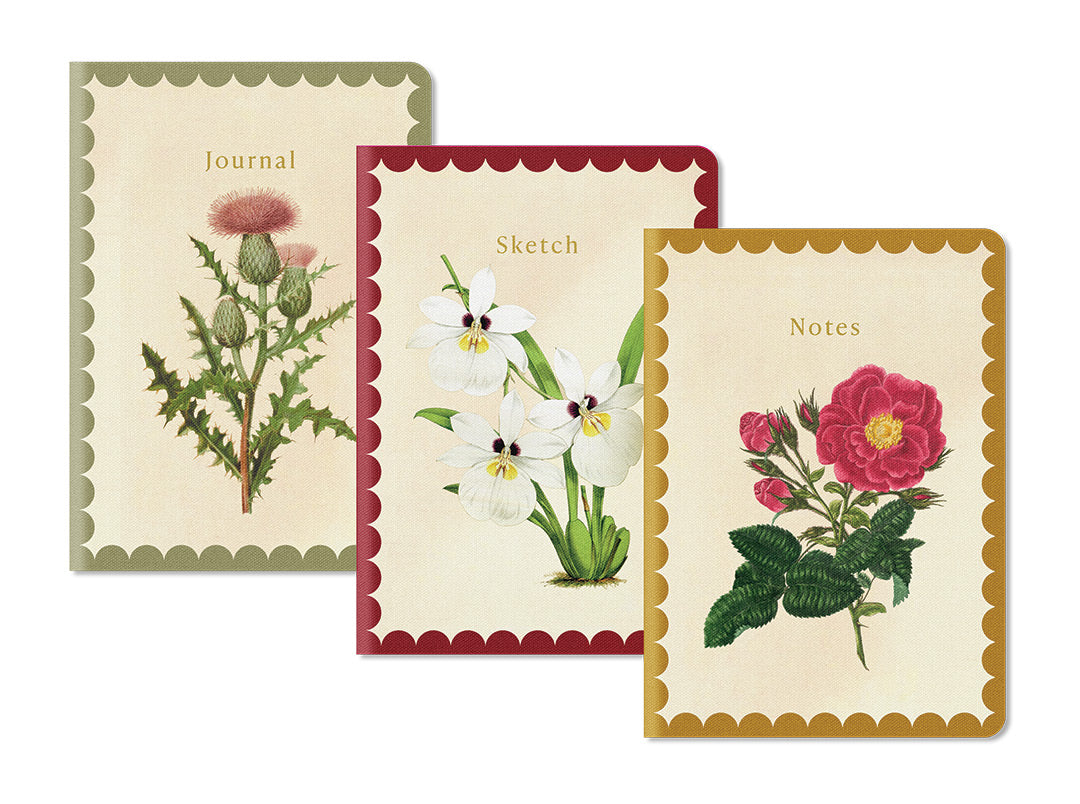 Natural World set of 3 Stitched Notebooks By Ohh Deer | Curiouser