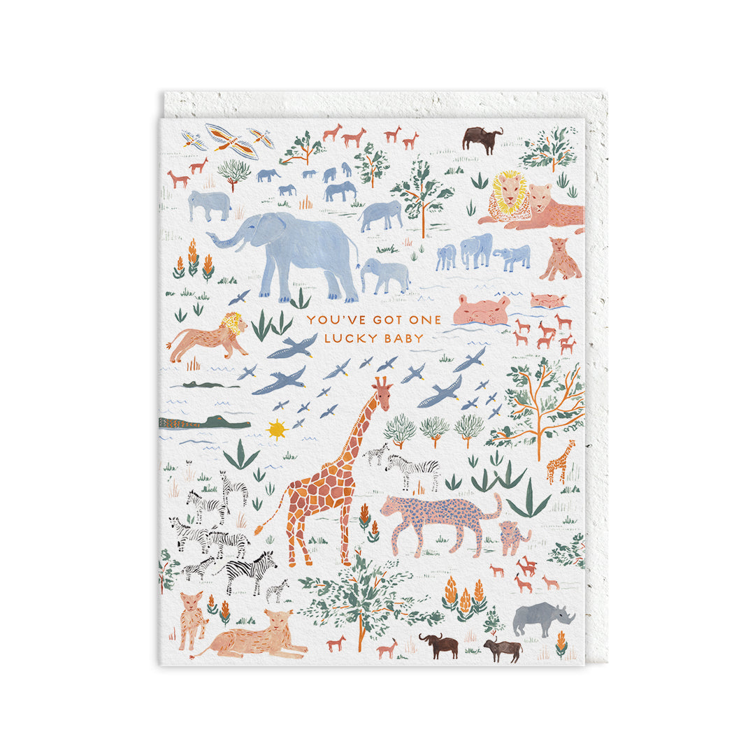 One Lucky Baby Card By Ohh Deer | Curiouser