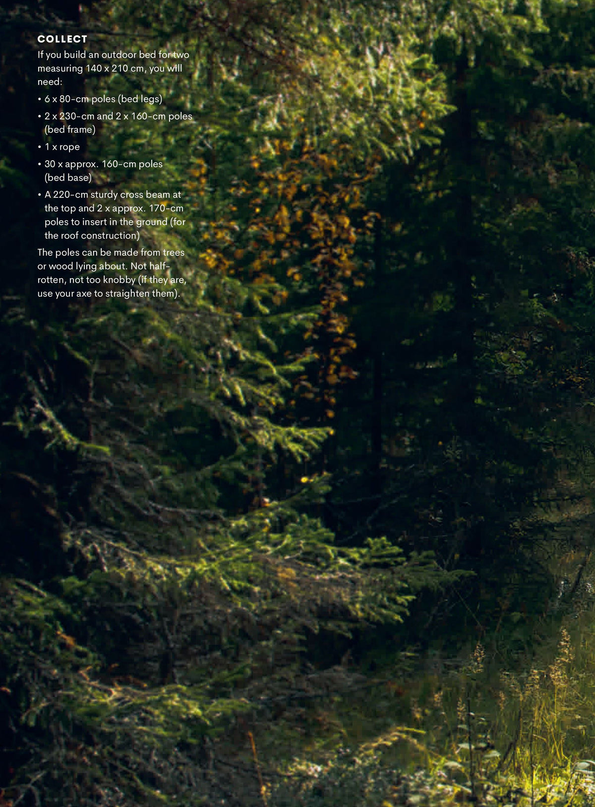 Under The Open Skies by Markus & Frida Torgeby | Curiouser