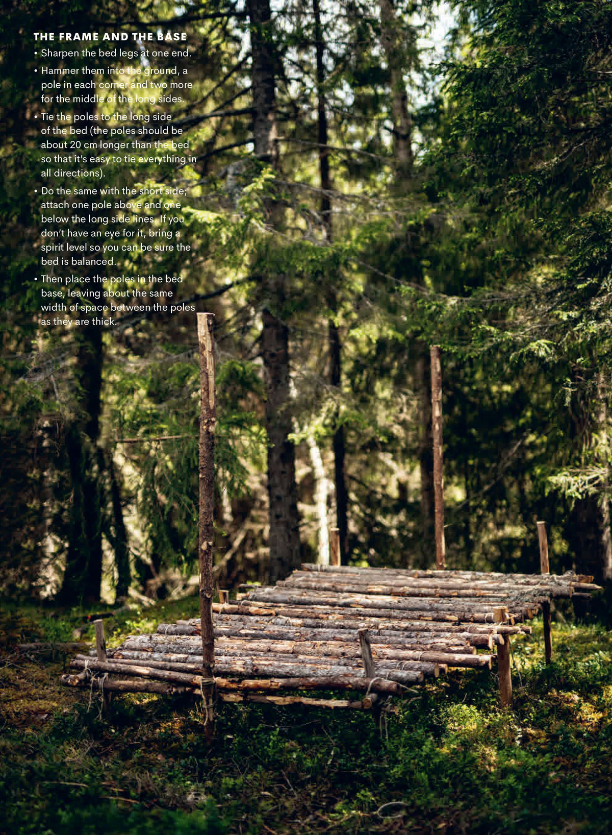 Under The Open Skies by Markus & Frida Torgeby | Curiouser